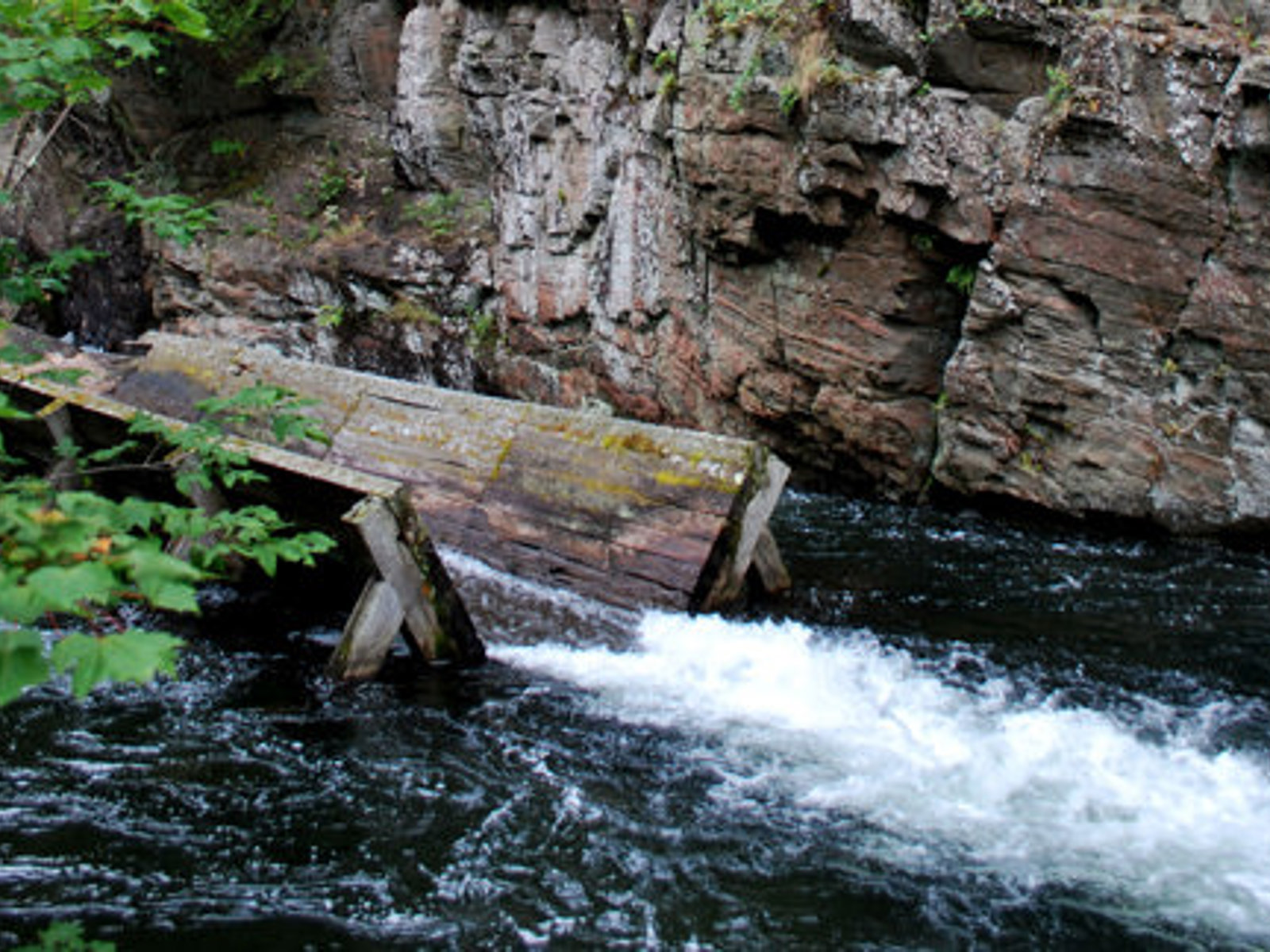 Hawk Lake Log Chute | Algonquin Highlands